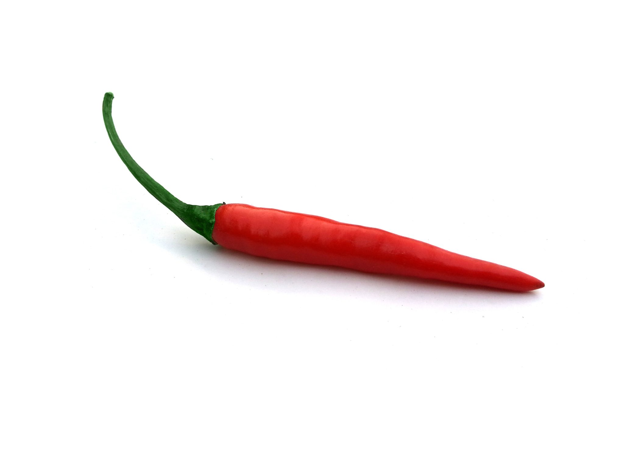 Chilli Small Red – Koerner Agro Export Center