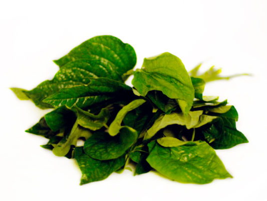 Chaplu Leaf – Koerner Agro Export Center