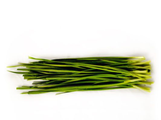 Products – Koerner Agro Export Center