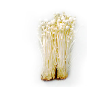 Galadium – Koerner Agro Export Center